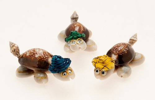 Mini COWRIE SHELL TURTLES with assorted Colored Hats - Philippines ...