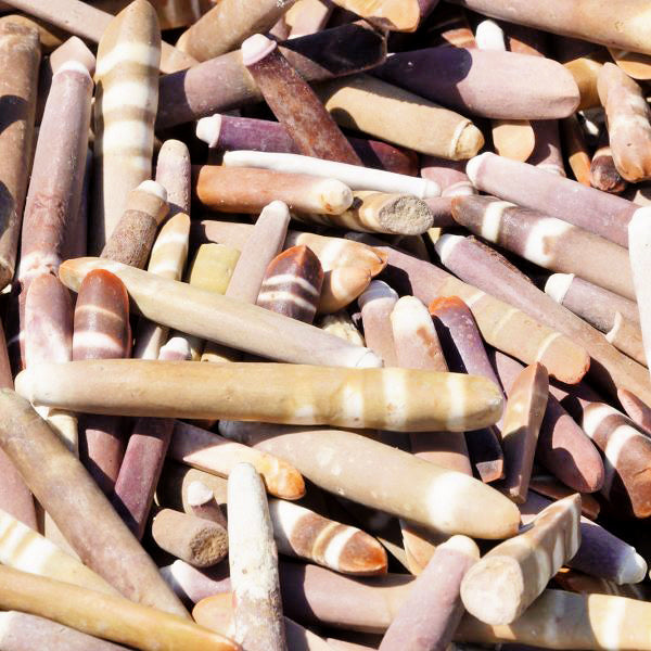 1 KG - Slate Urchin Spines - 2 - 3 inches – BambooBlinds.ca